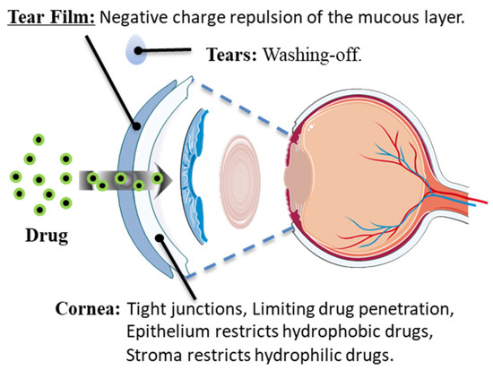 Polymer-Based Self-Assembled Drug Delivery Systems for Glaucoma ...