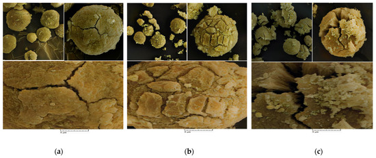 Influence of the Ethanol Content of Adduct on the Comonomer ...