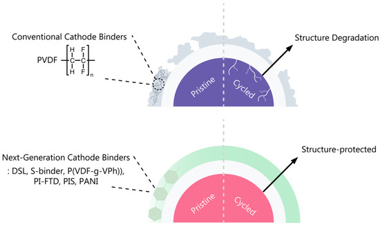 Advances in Polymer Binder Materials for Lithium-Ion Battery Electrodes ...