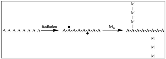On the Mechanism of the Ionizing Radiation-Induced Degradation and ...
