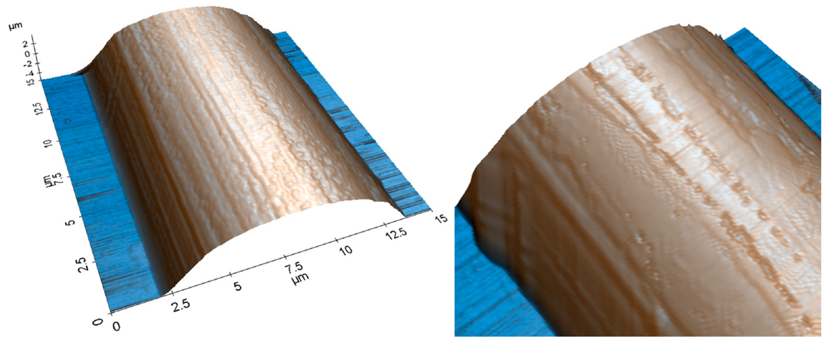 Polymers | Free Full-Text | Investigating Mechanical Properties of ...
