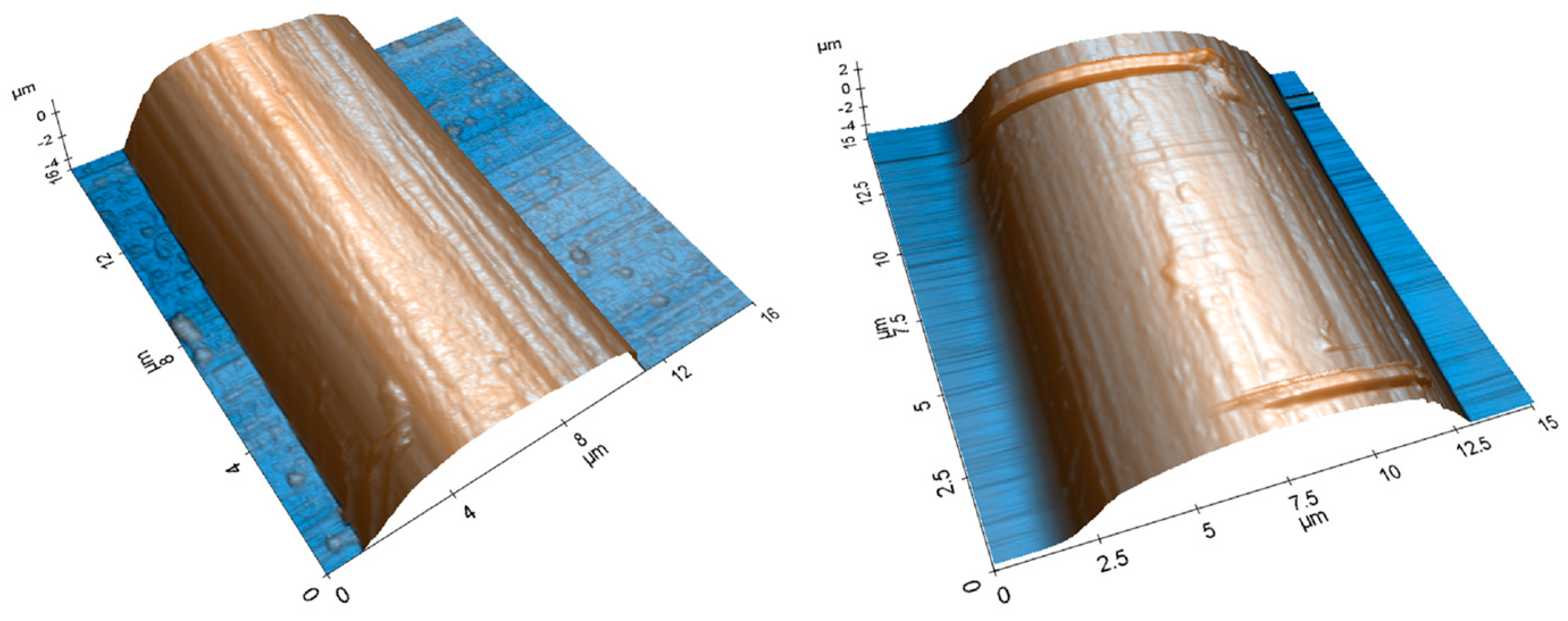 Polymers | Free Full-Text | Investigating Mechanical Properties of ...
