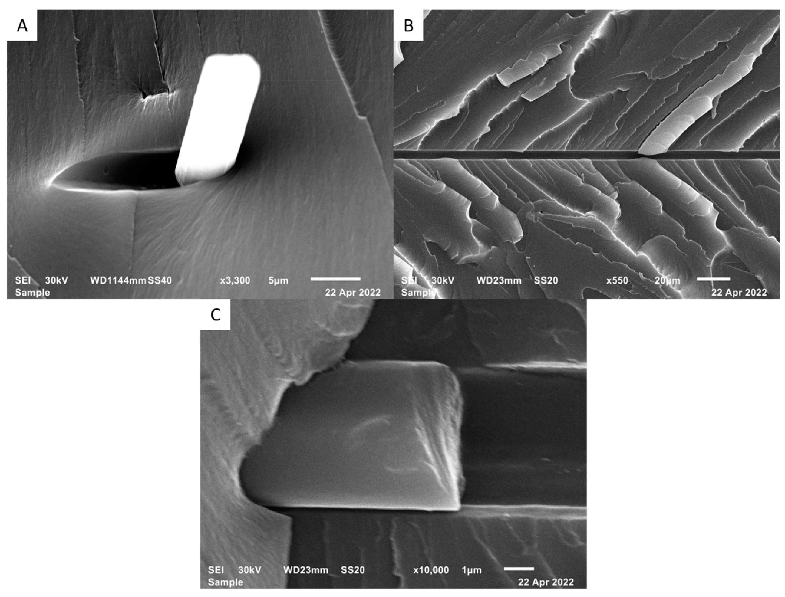 Polymers | Free Full-Text | Investigating Mechanical Properties of ...