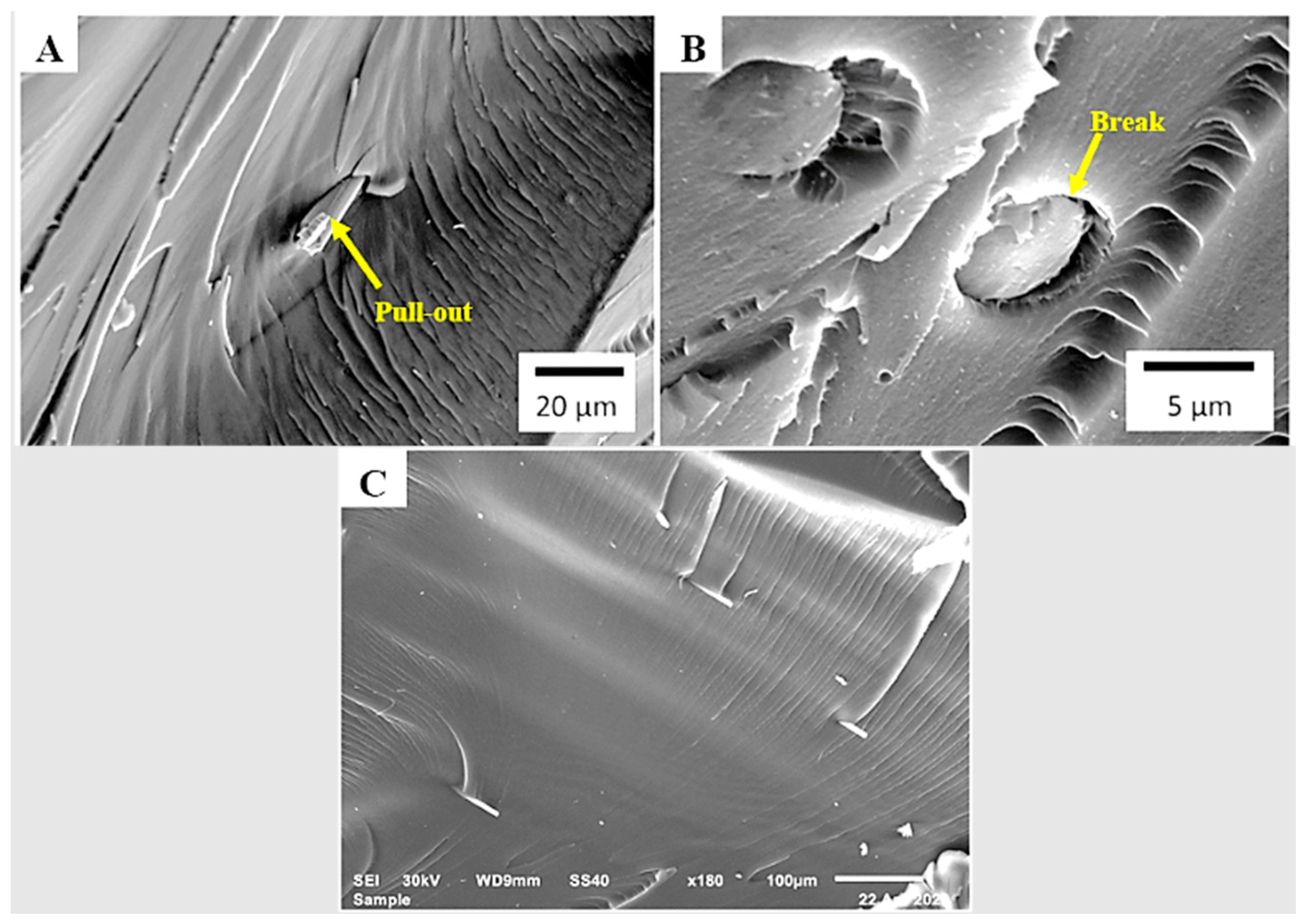 Polymers | Free Full-Text | Investigating Mechanical Properties of ...