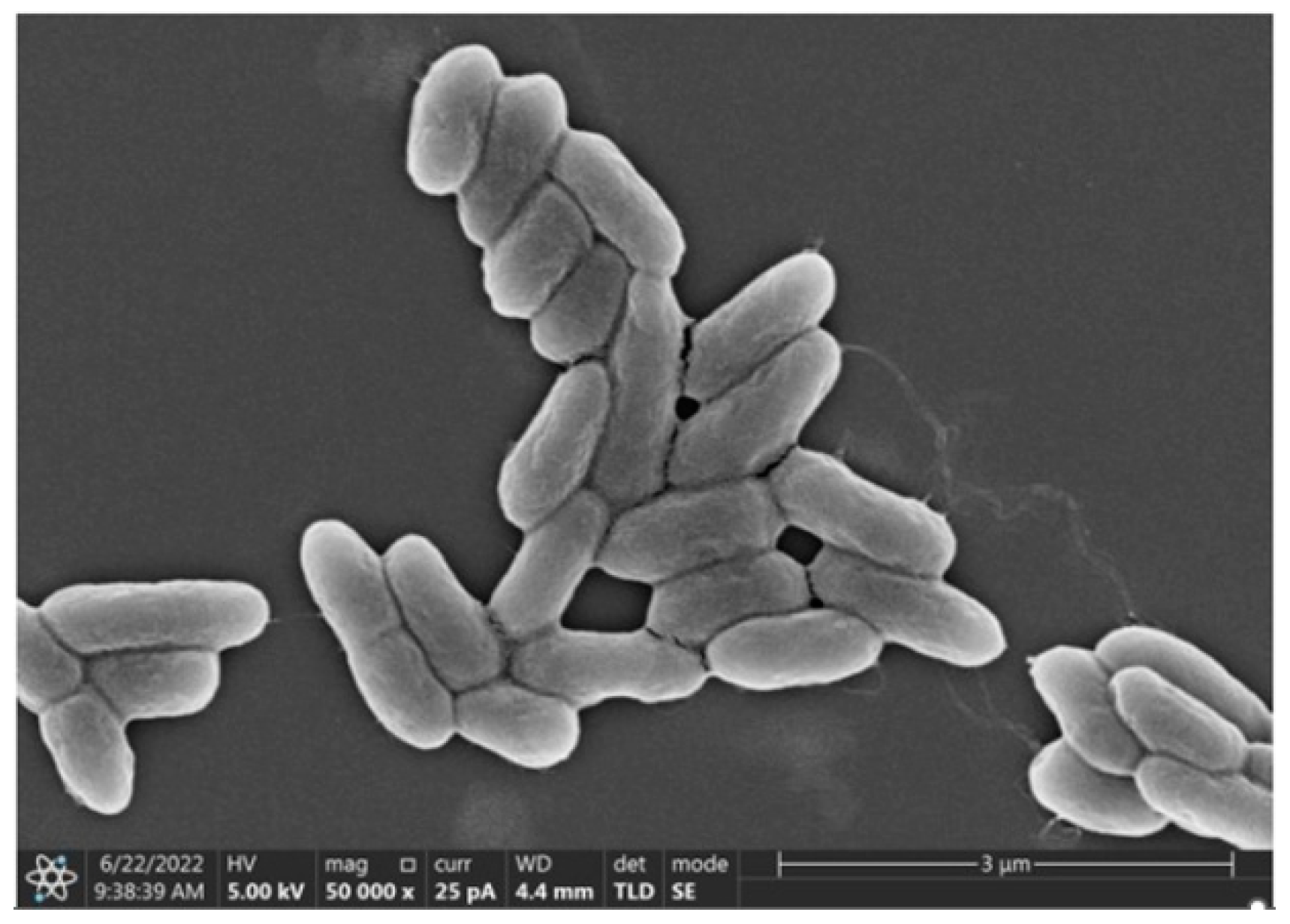Enhanced Solubilization and Biodegradation of HMW-PAHs in Water with a ...