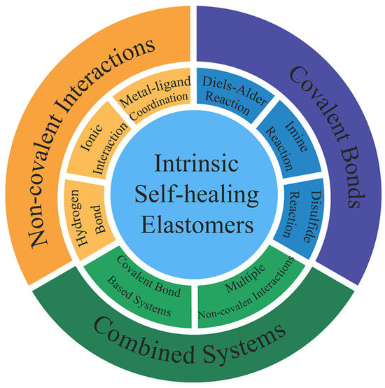 Recent Progress in the Field of Intrinsic Self-Healing Elastomers