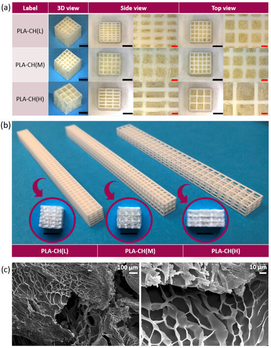 New Poly(lactic acid)–Hydrogel Core–Shell Scaffolds Highly Support MSCs ...