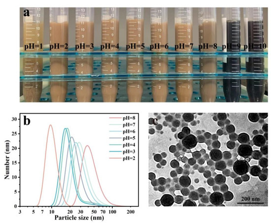 Polymers | Free Full-Text | Preparation of Lignin-Based Nanoparticles with Excellent Acidic ...