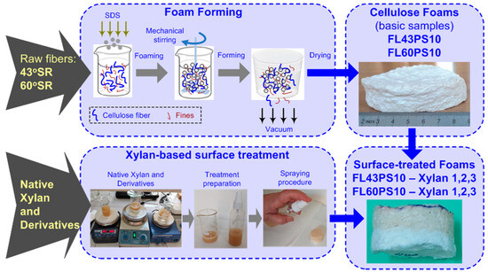Applications of Xylan Derivatives to Improve the Functional Properties ...