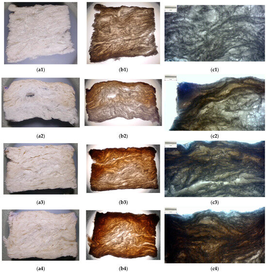 Applications of Xylan Derivatives to Improve the Functional Properties ...
