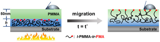 Exploring the Molecular Origin for the Long-Range Propagation of the ...