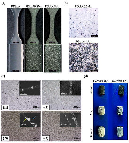 Bioabsorbable Composites Based on Polymeric Matrix (PLA and PCL ...