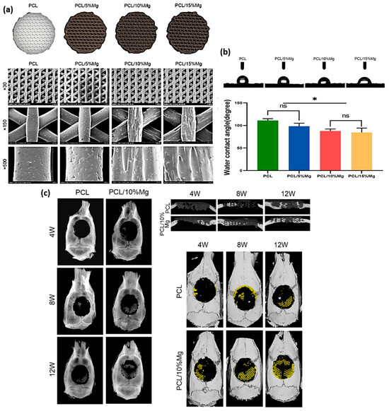 Bioabsorbable Composites Based on Polymeric Matrix (PLA and PCL ...