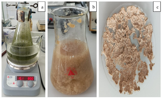Extraction of Cellulose from Ulva lactuca Algae and Its Use for ...