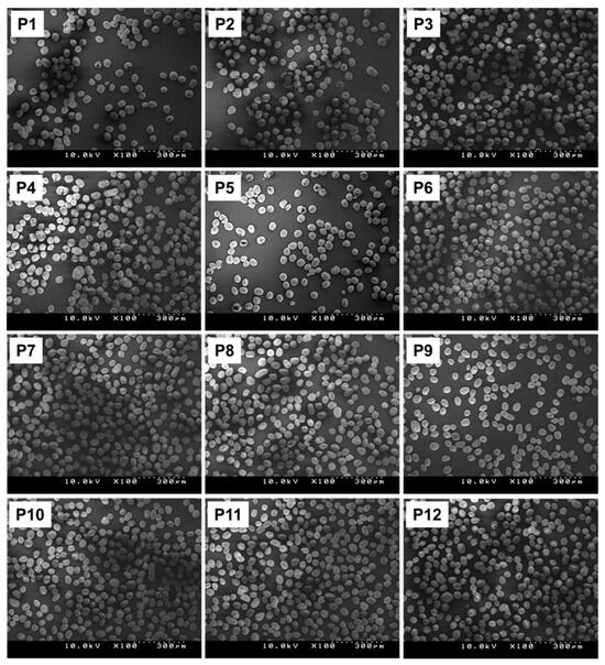 Parallel Catalyst Synthesis Protocol for Accelerating Heterogeneous Olefin Polymerization Research