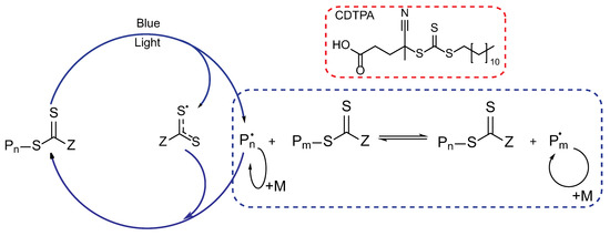 Amide-Containing Bottlebrushes via Continuous-Flow Photoiniferter ...