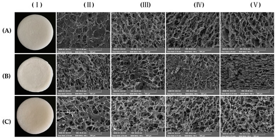 Preparation and Modification of Collagen/Sodium Alginate-Based ...