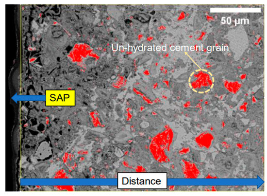 Effect of Superabsorbent Polymer (SAP) Size on Microstructure and ...