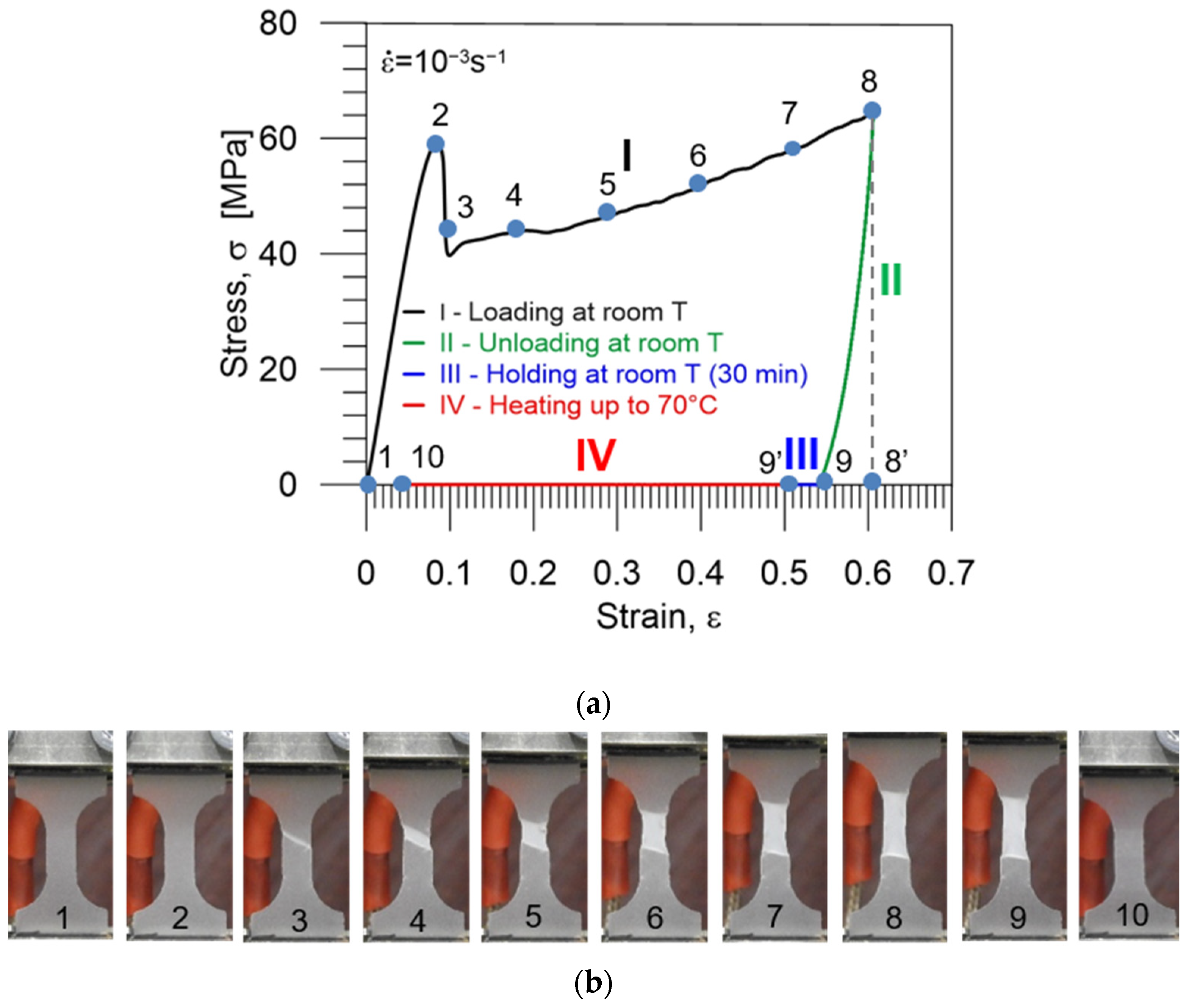 Polymers | Free Full-Text | Investigation of Shape Memory Polyurethane Properties in Cold ...
