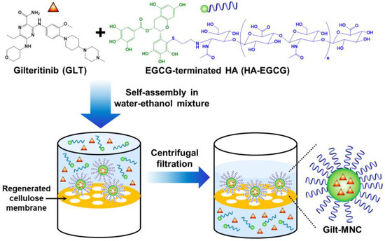 Potentiating Gilteritinib Efficacy Using Nanocomplexation with a ...