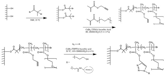 Preparation of Protein A Membranes Using Propargyl Methacrylate-Based ...