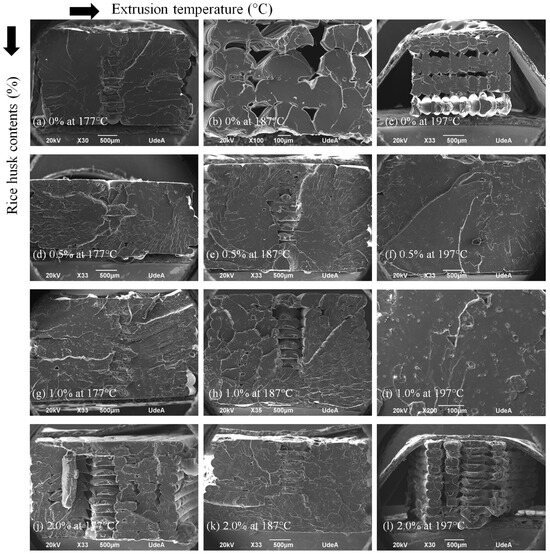 Rice Husk with PLA: 3D Filament Making and Additive Manufacturing of ...