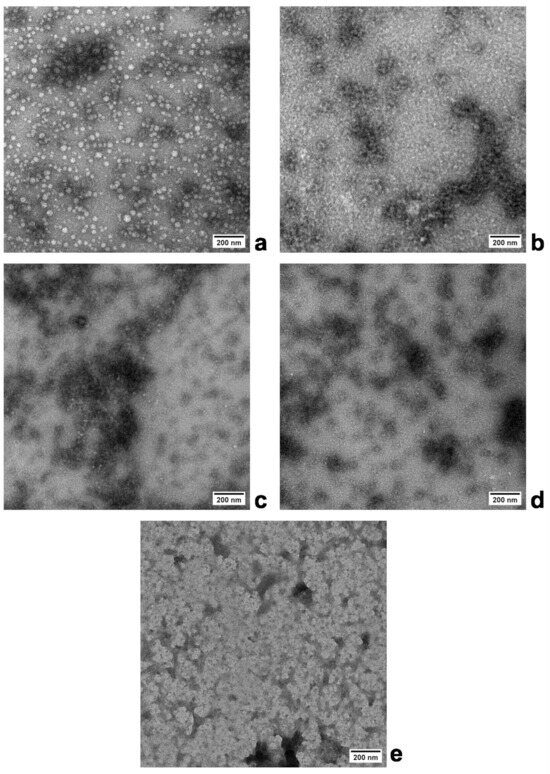 Biodegradable Covalently Crosslinked Poly[N-(2-Hydroxypropyl ...
