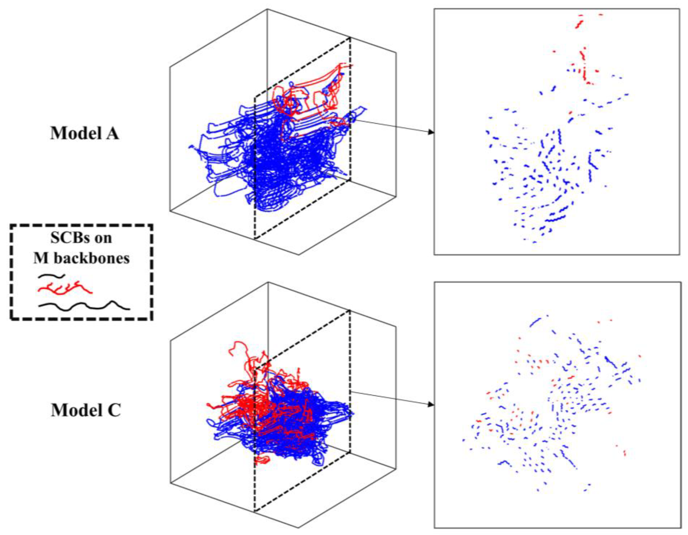 Revealing the Effect of the Molecular Weight Distribution on the Chain ...