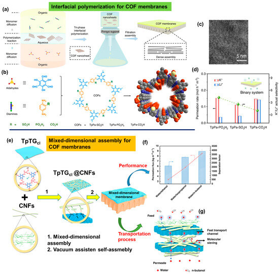 Optimized Polymeric Membranes for Water Treatment: Fabrication ...