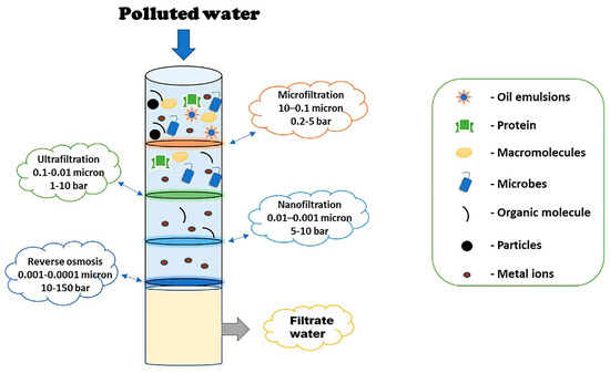 Biopolymeric Nanocomposites for Wastewater Remediation: An Overview on ...