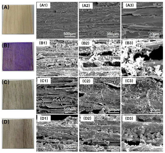 Fabrication of Mildew-Resistant Wood with Multi-Functional Properties ...