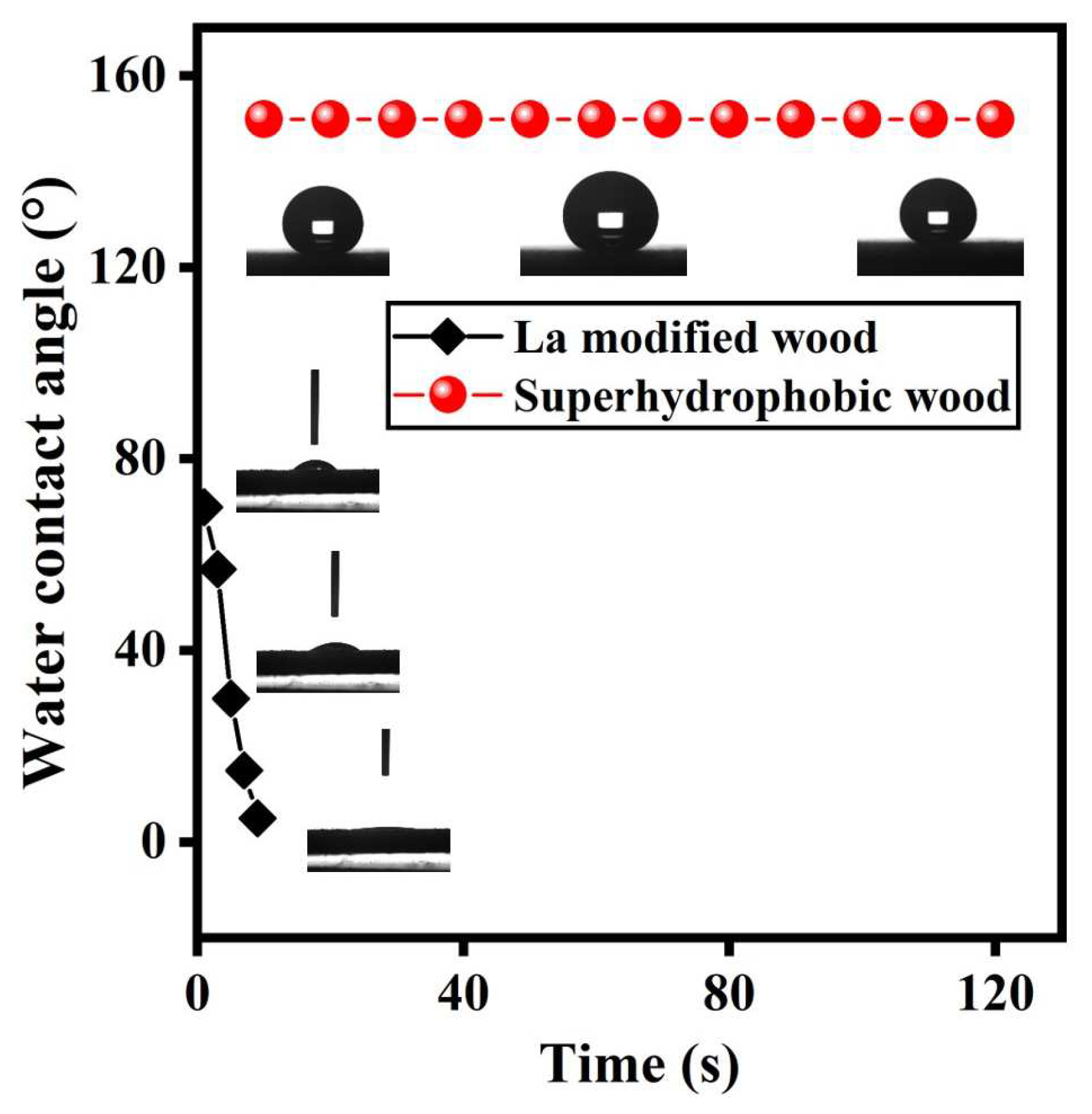 Fabrication of Mildew-Resistant Wood with Multi-Functional Properties ...