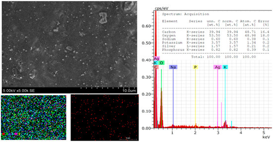 Polymers | Free Full-Text | Antimicrobial Antioxidant Polymer Films ...