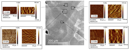 Morphology Distribution in Injection Molded Parts
