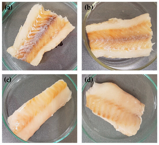 Design and Development of an Edible Coating for a Ready-to-Eat Fish Product