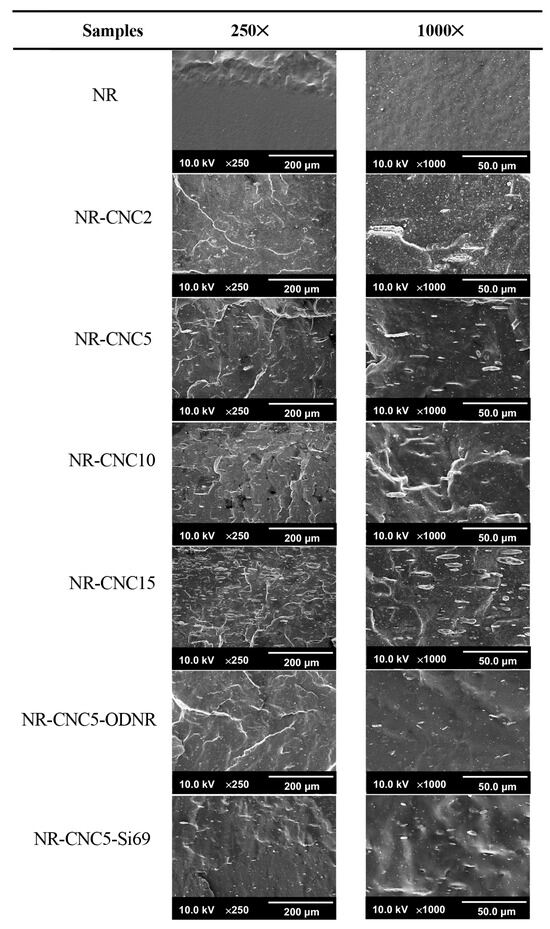 Polymers | Free Full-Text | Compatibilization of Cellulose Nanocrystal-Reinforced Natural Rubber ...