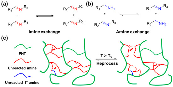 Polymers | Free Full-Text | Vitrimer Nanocomposites for Highly Thermal ...