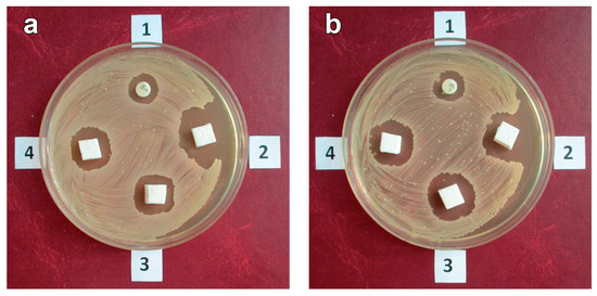Features of Changes in the Structure and Properties of a Porous Polymer ...
