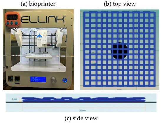 Fabrication of Fish Scale-Based Gelatin Methacryloyl for 3D Bioprinting ...