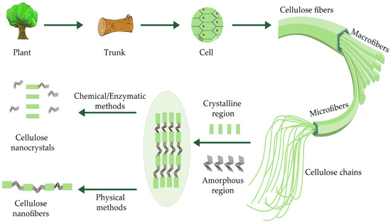 Nanocellulose Composite Films in Food Packaging Materials: A Review