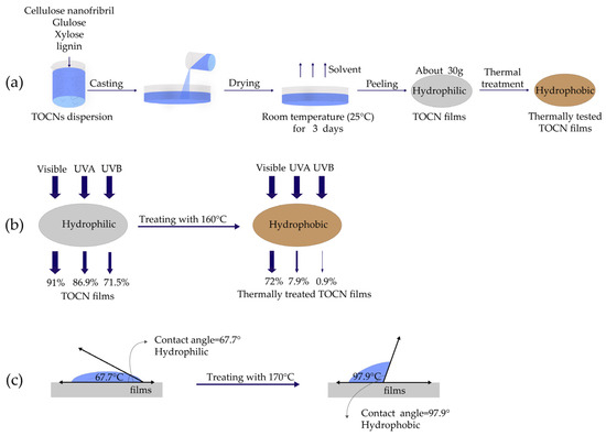 Polymers | Free Full-Text | Nanocellulose Composite Films in Food Packaging Materials: A Review