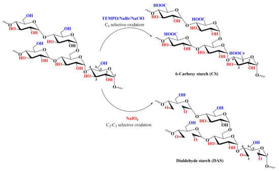 Functionalization Methods of Starch and Its Derivatives: From Old ...
