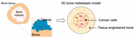 Current Advances in the Use of Tissue Engineering for Cancer Metastasis ...