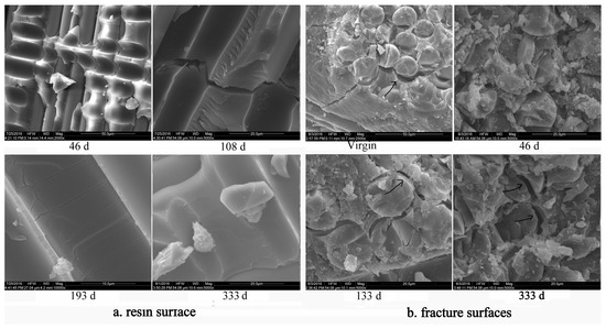 Hygrothermal Effect on GF/VE and GF/UP Composites: Durability ...
