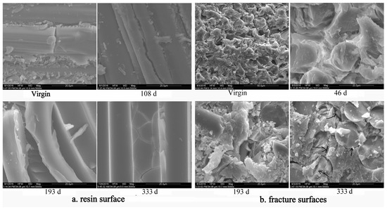 Hygrothermal Effect on GF/VE and GF/UP Composites: Durability ...