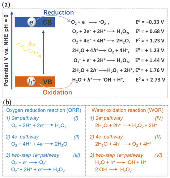 COF-Based Photocatalysts for Enhanced Synthesis of Hydrogen Peroxide
