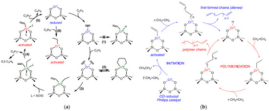 Mechanistic Insights of Ethylene Polymerization on Phillips Chromium ...