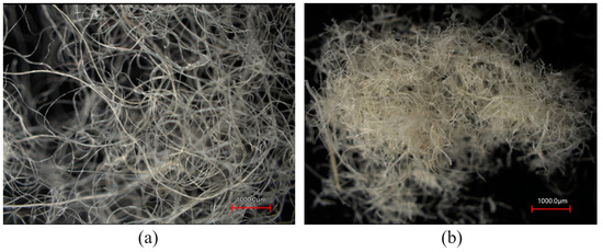 Polymers | Free Full-Text | Investigation of Physical Properties of ...