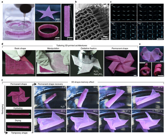 Advances in Additive Manufacturing of Polymer-Fused Deposition Modeling ...