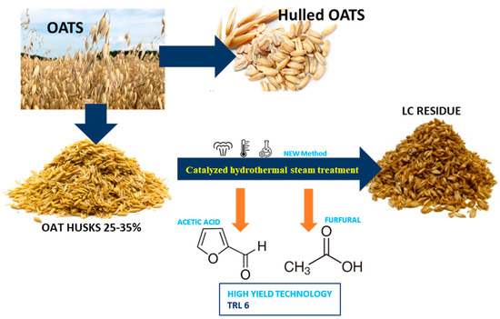 Catalyzed Hydrothermal Pretreatment of Oat Husks for Integrated ...
